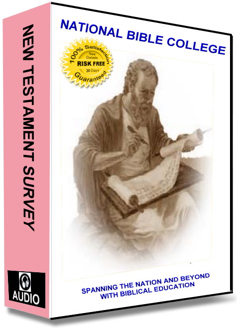 New Testament Survey Audio Course (BI 111)